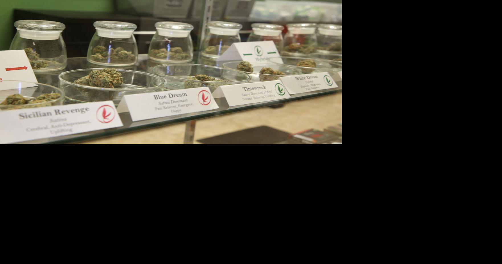 Pros and cons of Prop. 205: Marijuana initiative’s murky language ...