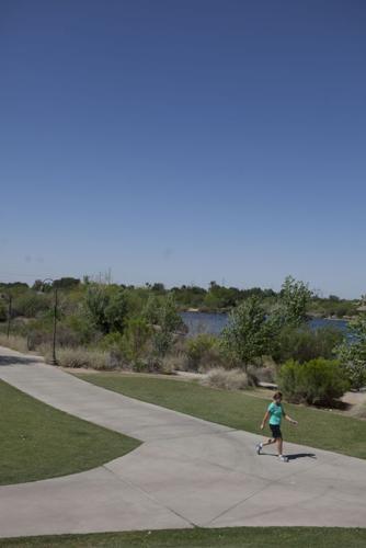 Photos: Riparian Preserve at Water Ranch | Get Out | eastvalleytribune.com