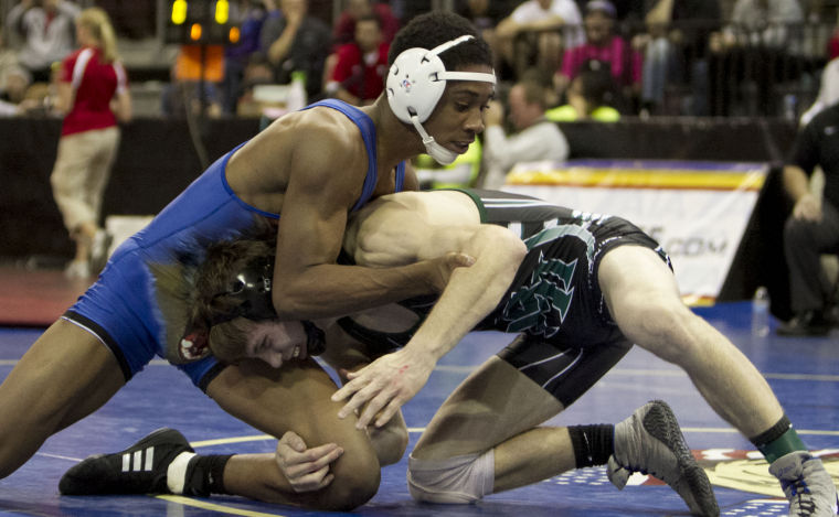 Photos: Wrestling State Championships | Photos & Video ...
