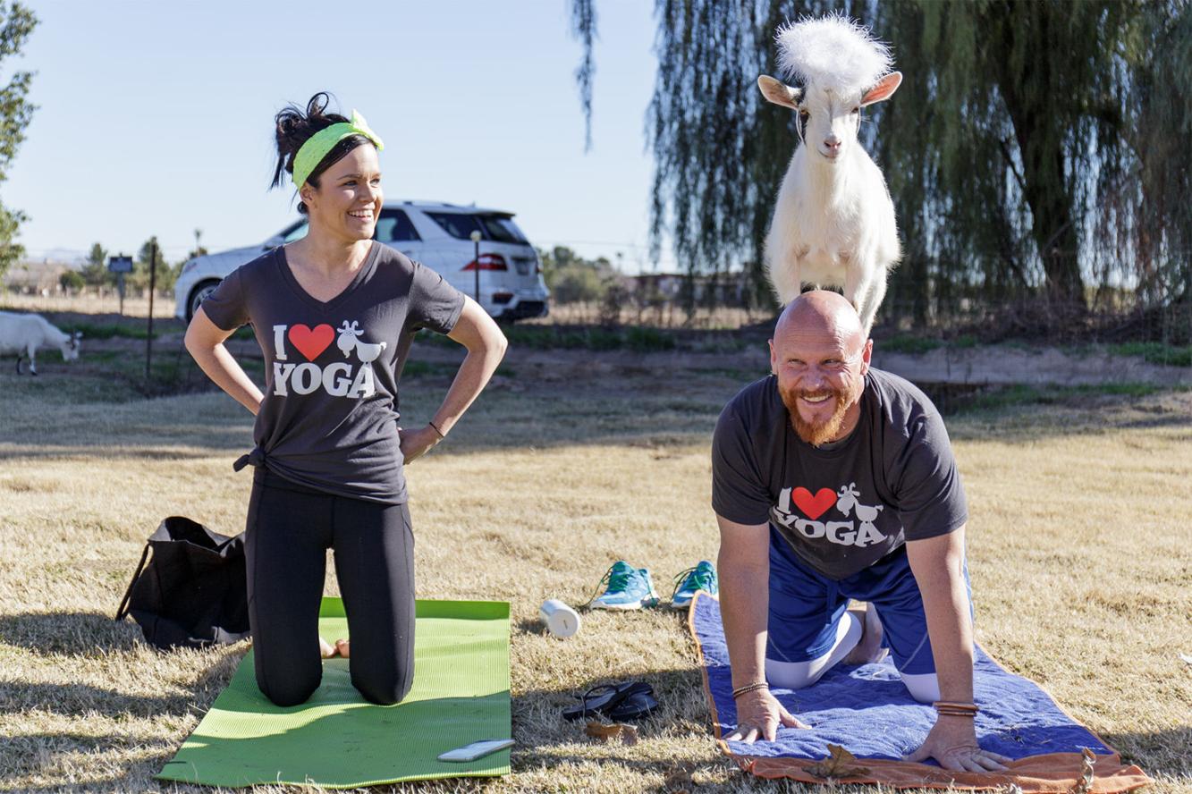 Goat yoga takes over Gilbert farm | Az Outdoors | eastvalleytribune.com