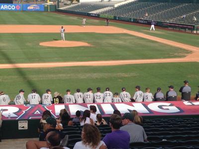 basha bears baseball