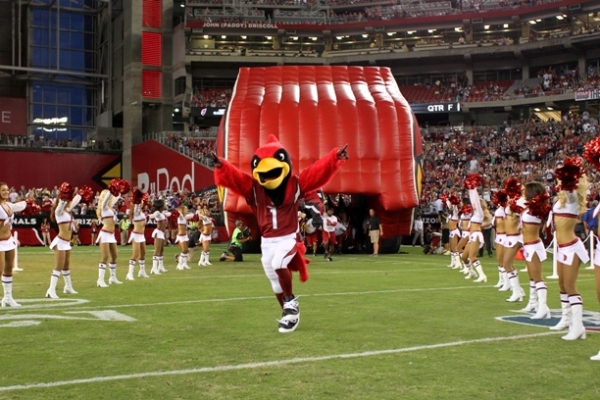 See all six Arizona pro teams at inaugural sports expo | Events ...