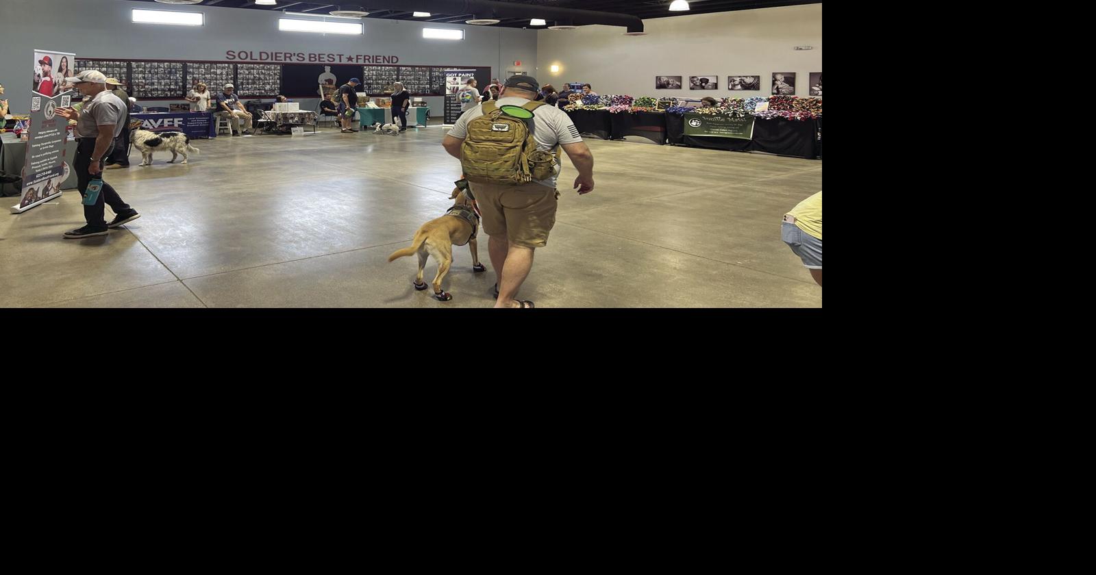 CUSD enrollment likely to decline for a decade | | eastvalleytribune.com