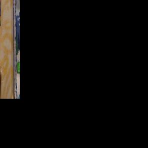 Arizona Science Center takes a walk on Sesame Street with ‘The Body ...