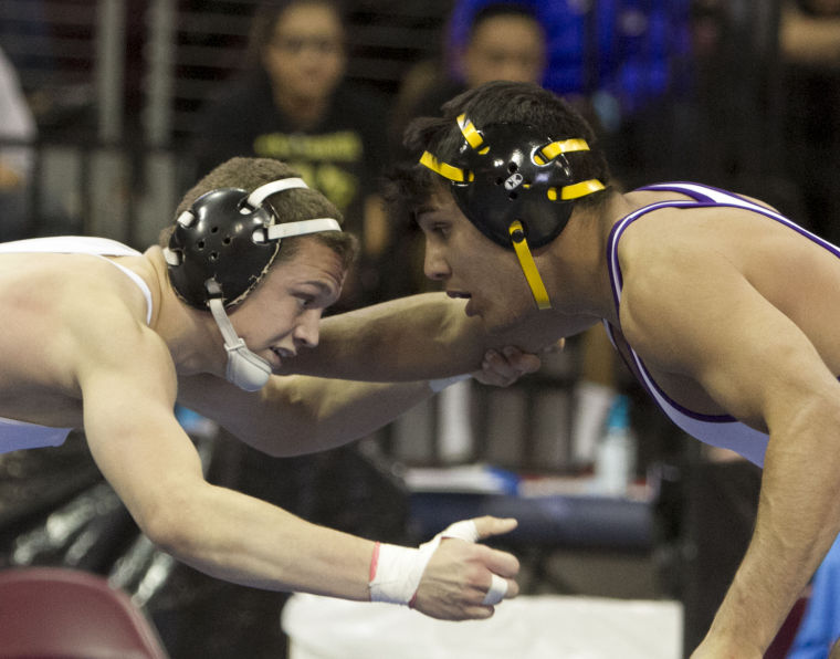 Photos: Wrestling State Championships | Photos & Video ...