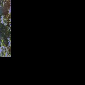 ABC15 Weather: Storm chances back in forecast | Weather ...