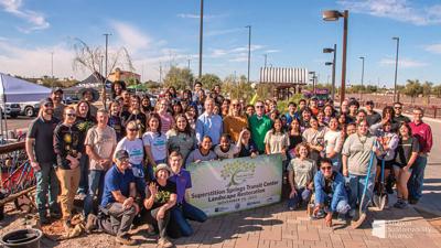 More trees going up in Mesa slowly but surely | | eastvalleytribune.com