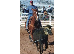 Arizona corralling a team roping ‘jackpot’ events | News ...