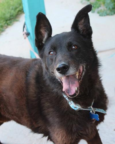 Mallomar: Take Me Home | Take Me Home | eastvalleytribune.com