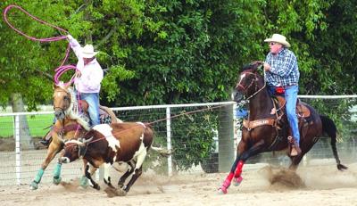 Hal Earnhardt’s roping skills are no bull | East Valley Local News ...