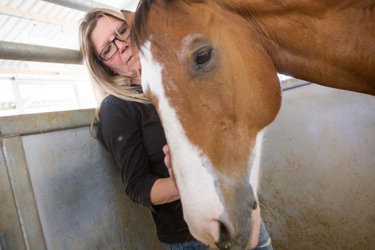 Ranch gives horses a second chance | Arizona | eastvalleytribune.com