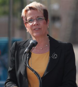 Jan Dolan: Scottsdale city manager's hard fall | News ...