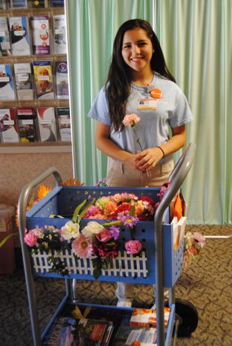 Seton sophomore spends summer volunteering at Chandler Regional ...