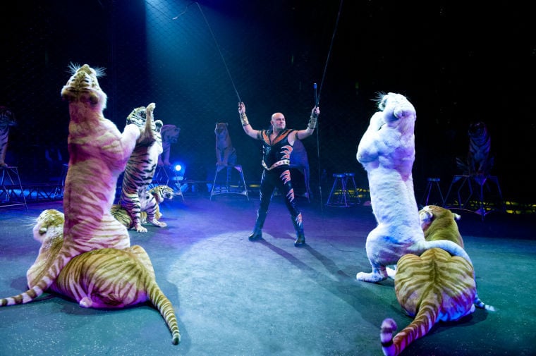 Tigers and a human cannonball: The circus is in town | Events ...