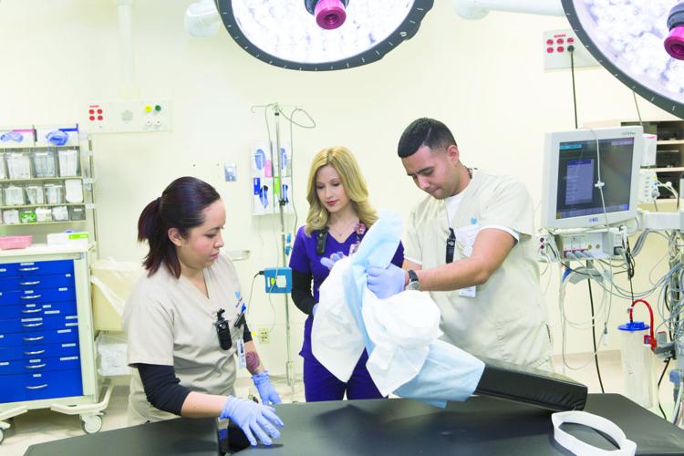 Color coded: Banner Health employees don specific colors | Arizona ...