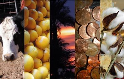 Arizona's 5 Cs: Then and Now | East Valley Local News ...