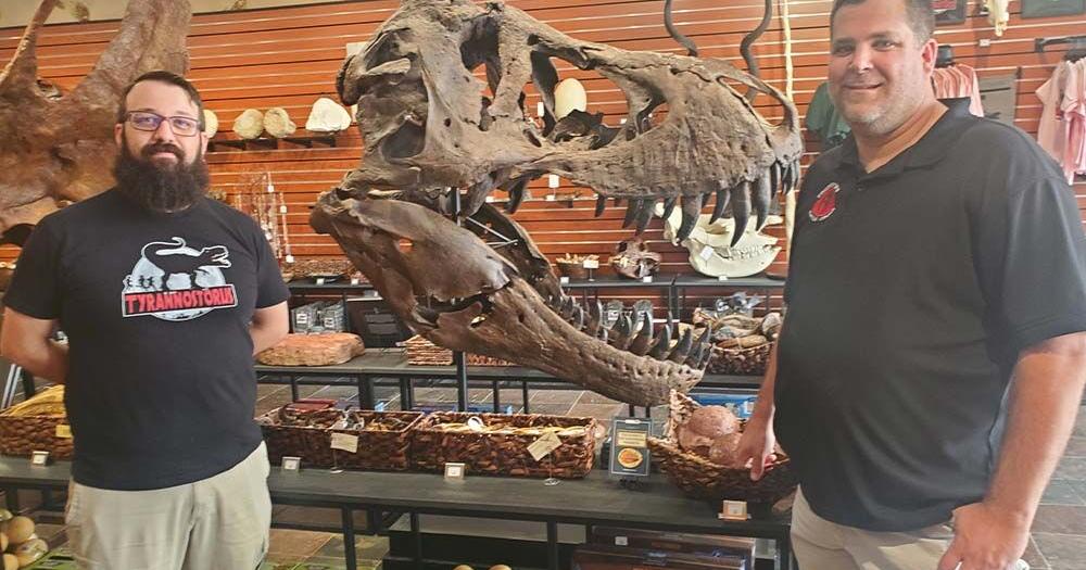 Dinosaur store offers fossils, activities for kids | Local Businesses ...