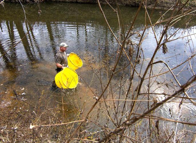 Conservation police seek information on deer carcass dumping | Local ...