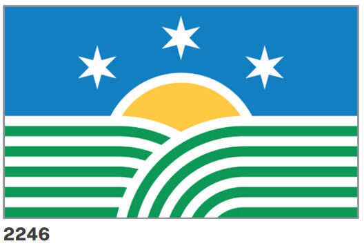 Voting in state flag redesign contest begins in January | Local News ...