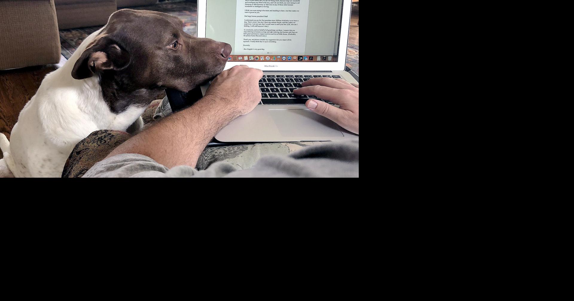 Rex Huppke: We don’t deserve dogs, yet they accept and adore us ...