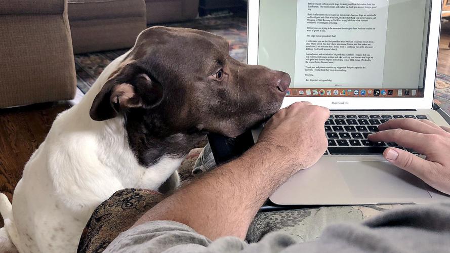 Rex Huppke: We don’t deserve dogs, yet they accept and adore us ...