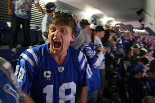 SLIDESHOW: Super fans of the NFL | Sports | effinghamdailynews.com