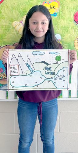 SWCD poster winners announced | Community | effinghamdailynews.com