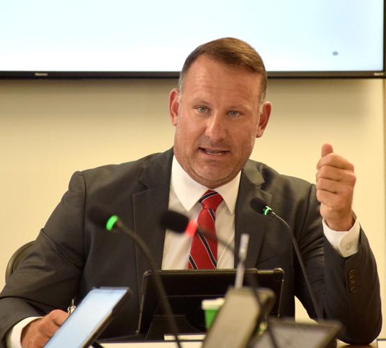 County Board approves ballot question on immigration | Local News ...