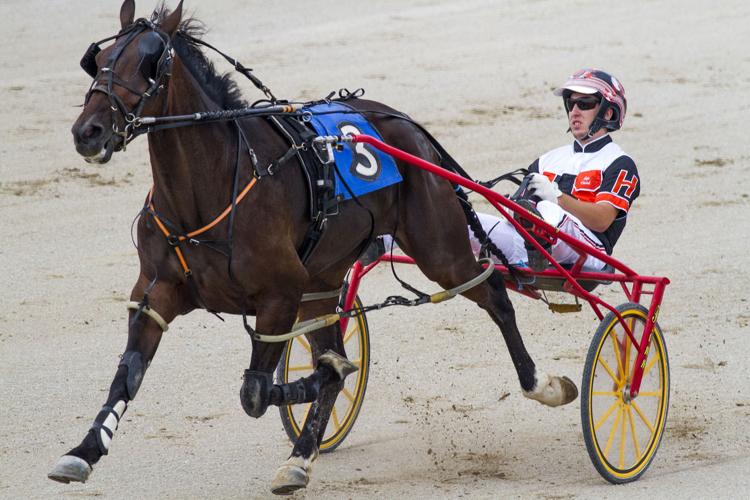Altamont native Husted returns to Effingham harness racing | Sports ...