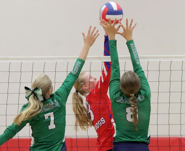 THESE DOGS MEAN BUSINESS: St. Anthony volleyball upsets Windsor ...
