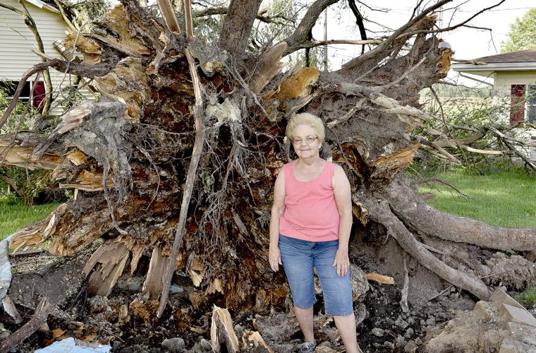 Area storm brought high winds, damage | Local News | effinghamdailynews.com