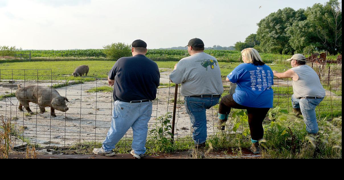 Kemme family show pig operation expanding | Farm Fair 2015 ...