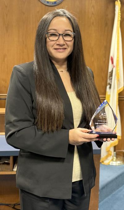 Circuit Judge Amanda Ade-Harlow awarded Illinois Judges Association ...