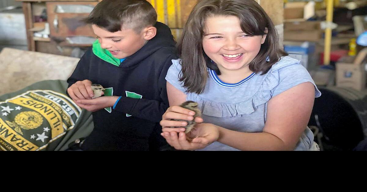 Illinois students tour Morgan County farm, create lifelong memories ...