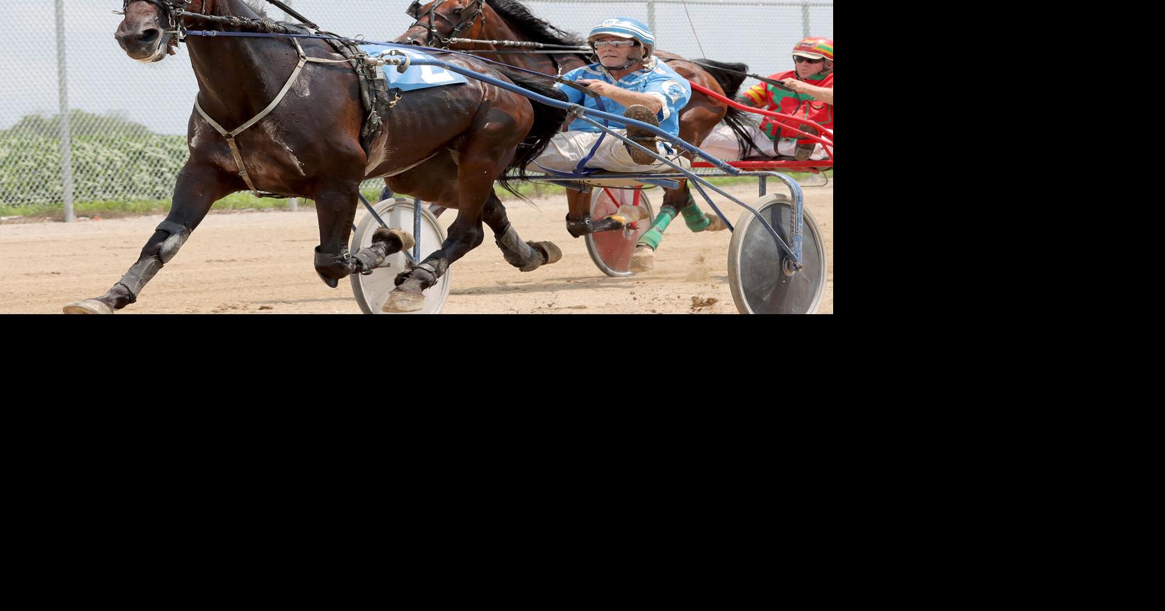 Four races highlight Day 2 of harness racing; Altamont-native Finn ...
