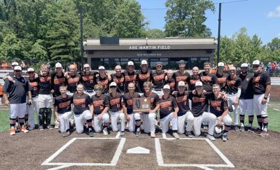 BREAKING: Altamont baseball makes history, advances to first-ever state ...