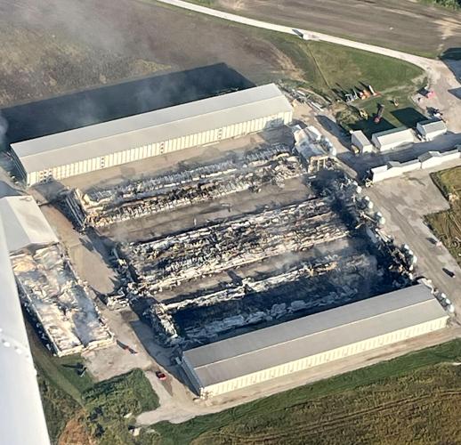 Egg production facility devastated by fire | Local News ...
