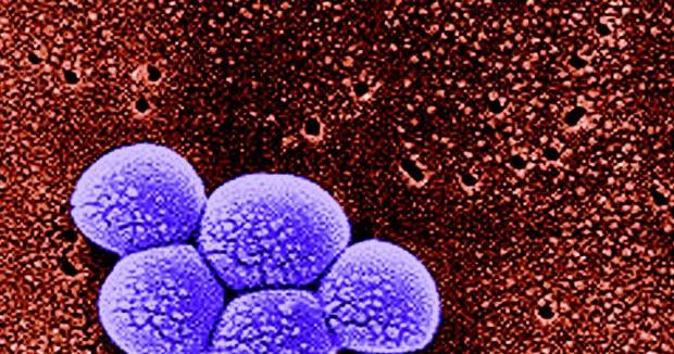 Staph infection sidelines two football players | Local News ...