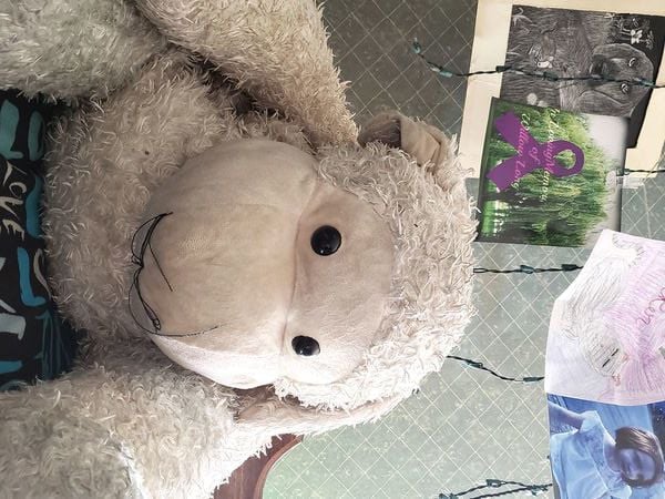 Memories of Willow Long have not faded | Local News ...