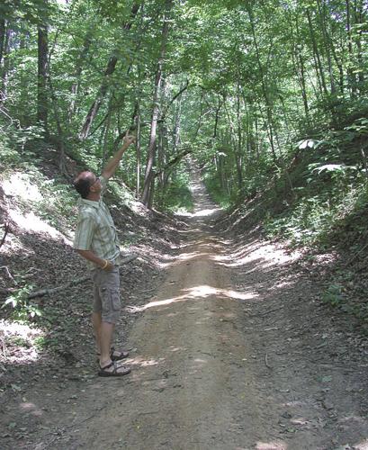 A look at what may become the first trail in Effingham County | Local ...