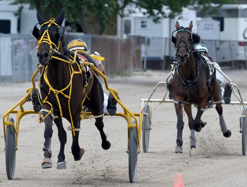 Harness racing continues around state | 2020 Farm Fair ...