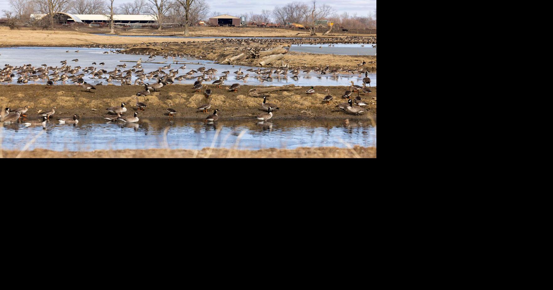 Habitat incentive programs aid landowners, wildlife | News ...