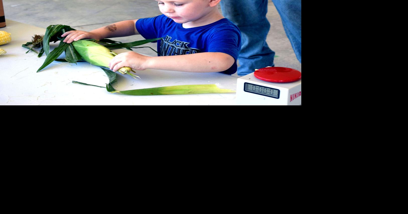 Beecher City Corn Fest starts Friday | Local News | effinghamdailynews.com