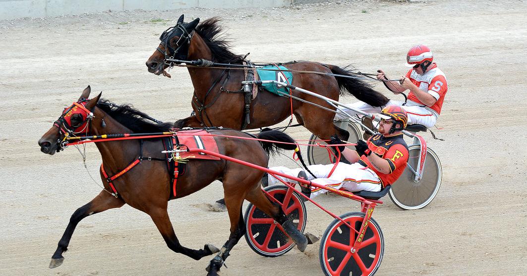 Rogers retains harness racing lead on off day | Sports ...