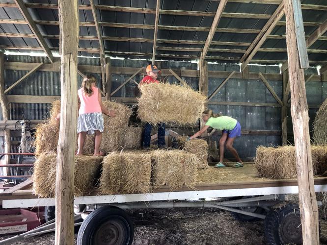 Life on the Farm: For the Wendling family, it’s all about teamwork ...