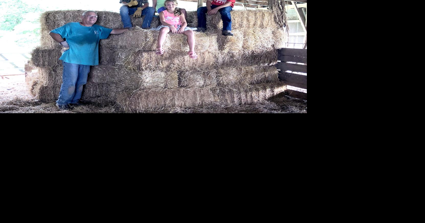 Life on the Farm: For the Wendling family, it’s all about teamwork ...