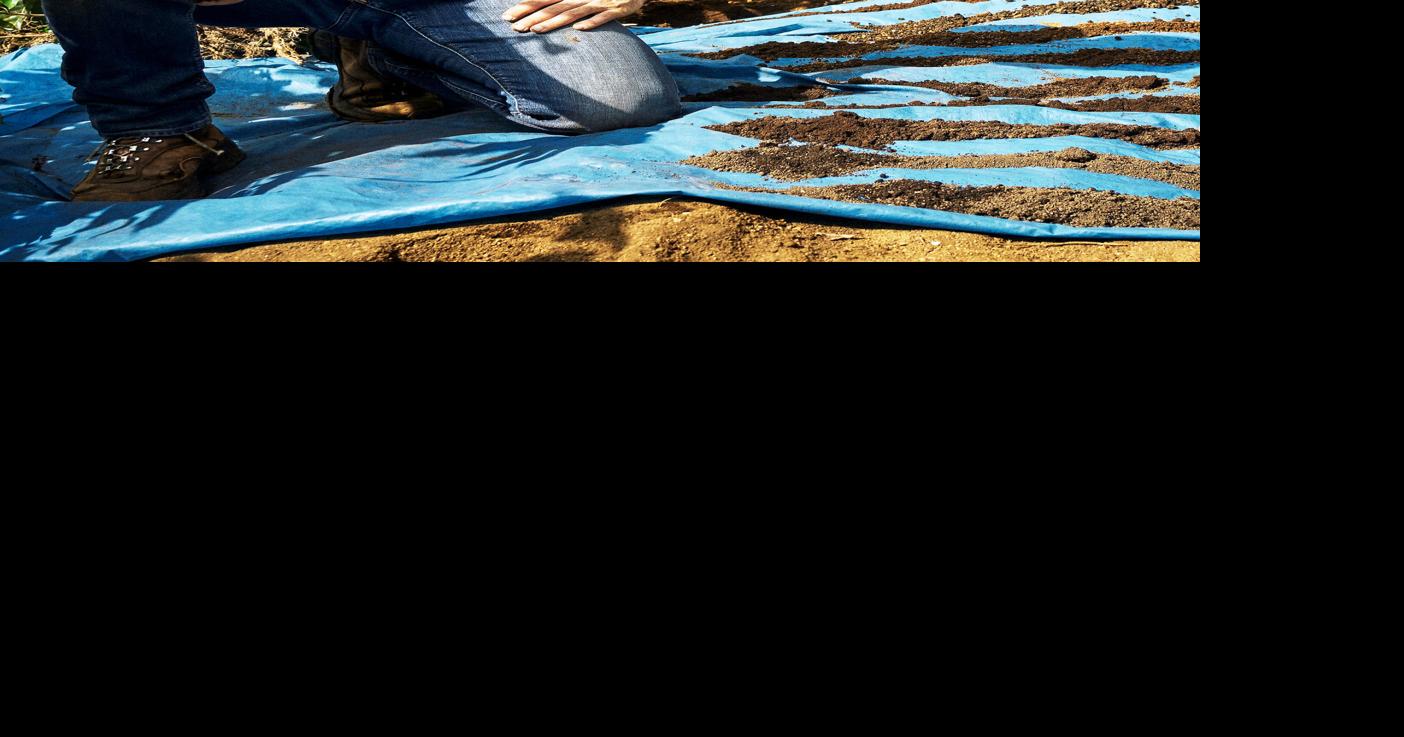 Time traveling with soil: Researching Illinois’ centennial soil archive ...