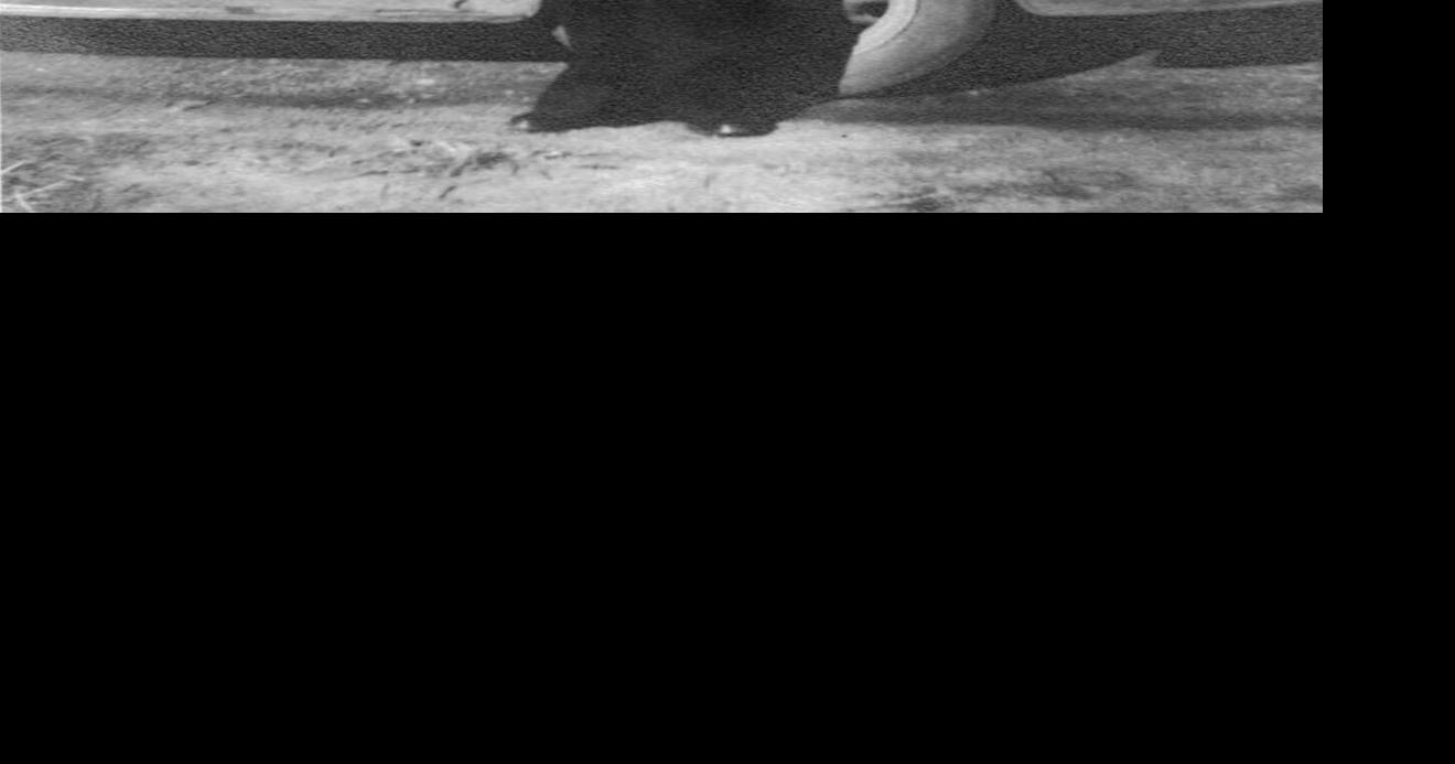 Remembering Don R. Cornwell, Forrest W. Keplar and Rudolph C. Siebert ...