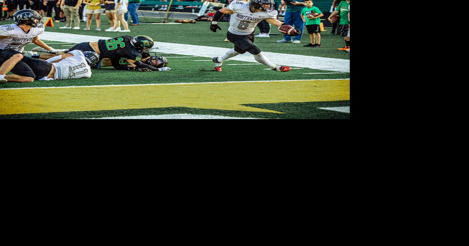 Balanced Panthers roll past Northridge | Sports | elkharttruth.com