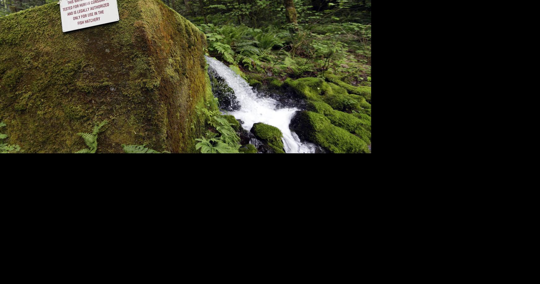 Oregon county says no to Nestle water-bottling plant | National ...